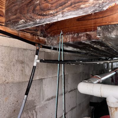 Dux Quest | What is it | Do I need to replace it?